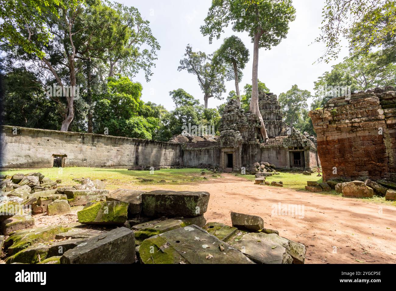 Tap Prohm Temple ruins at Siem Reap, famous fore the Lara Croft tree ...