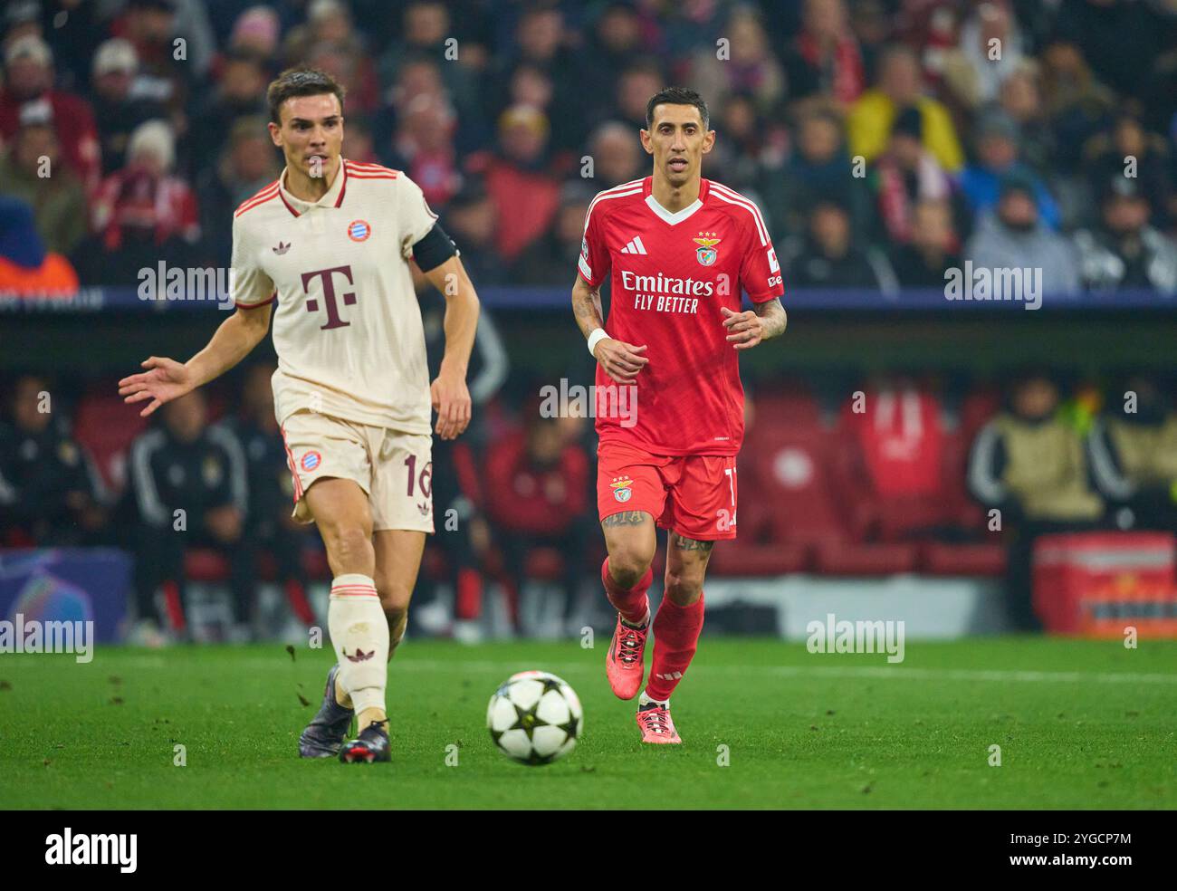 Joao Palhinha, FCB 16 compete for the ball, tackling, duel, header ...