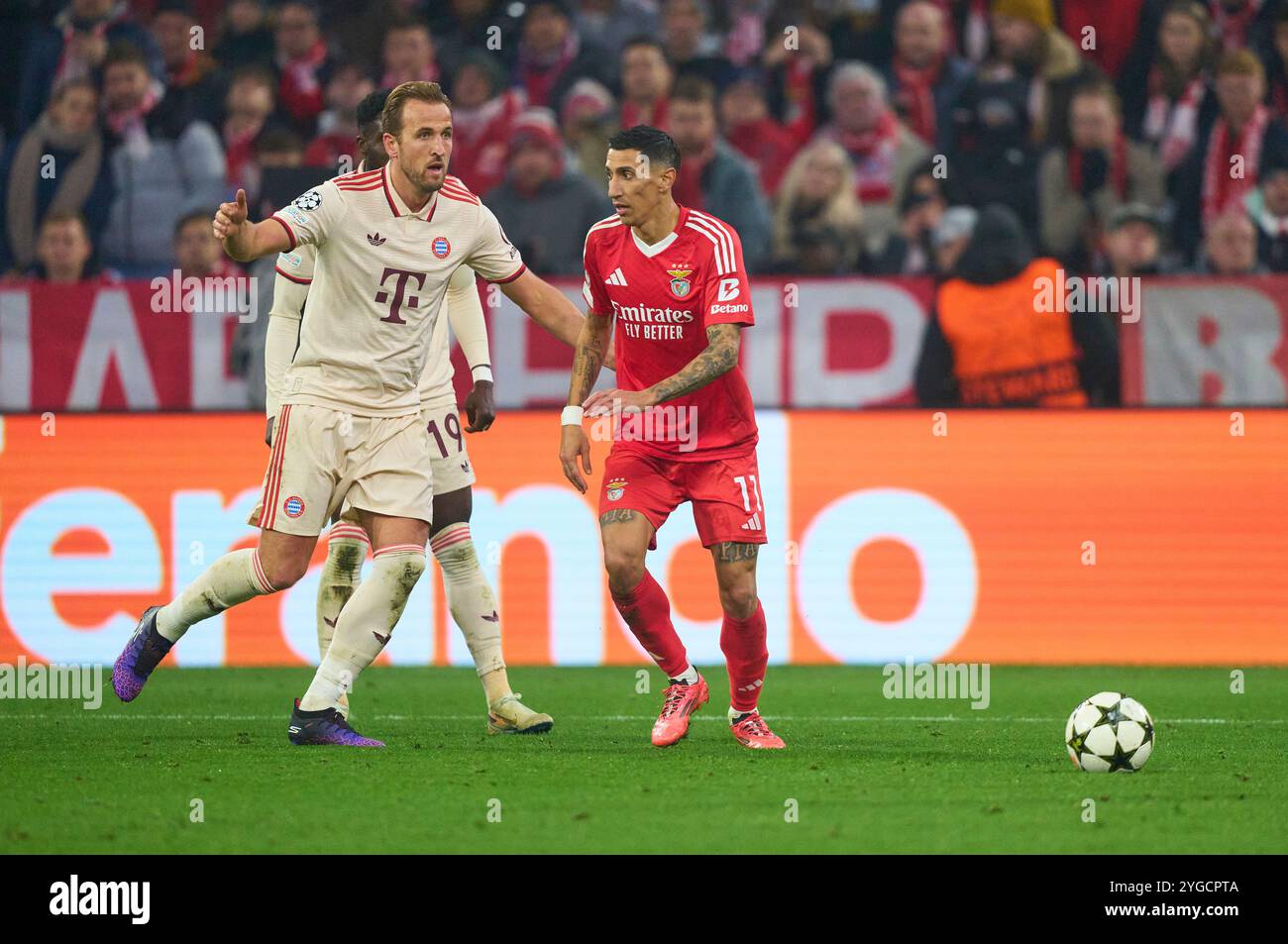 Harry Kane, FCB 9 Alphonso DAVIES, FCB 19 compete for the ball ...