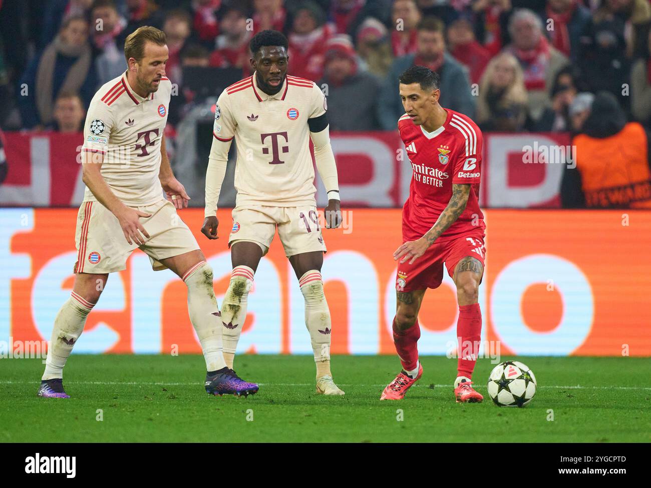 Harry Kane, FCB 9 Alphonso DAVIES, FCB 19 compete for the ball ...