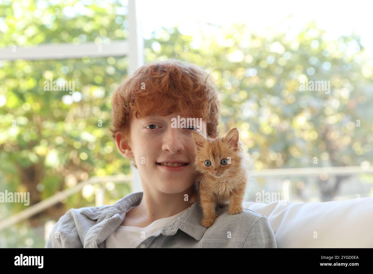 Redhead teenage boy with cute ginger kitten indoors Stock Photo - Alamy