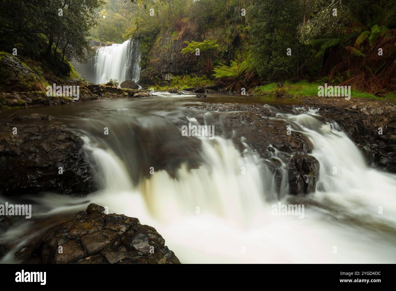 Guide falls tasmania hi-res stock photography and images - Alamy