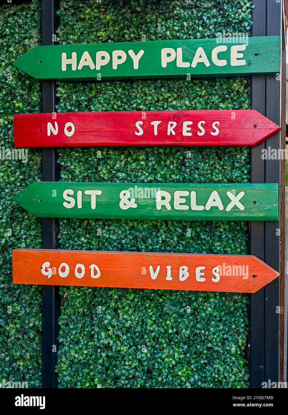 Positive Vibes Only – Colorful Wooden Signage in a Lush Oasis Stock ...