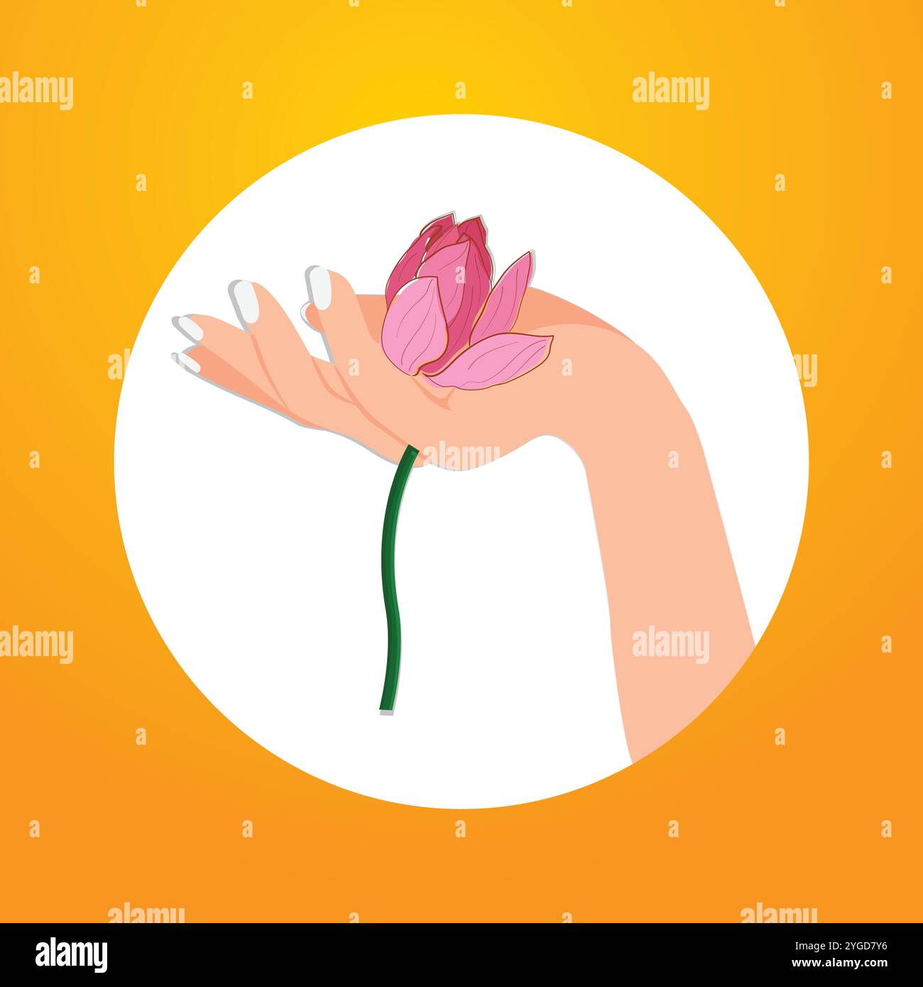 Hand woman holding pink Cut Out Stock Images & Pictures - Alamy