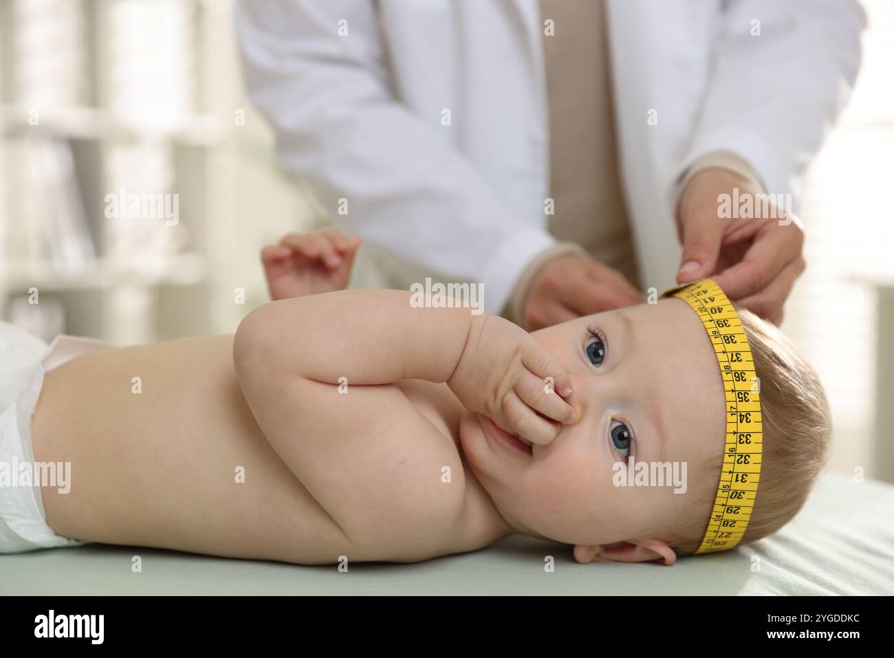 Pediatrician measuring little baby's head in clinic, closeup Stock ...