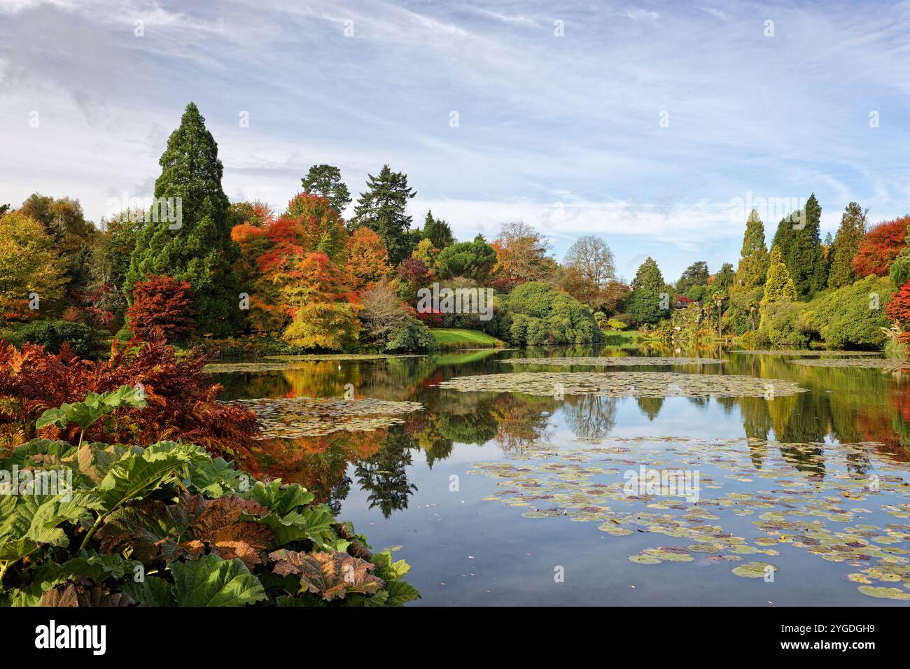 Autumn in England UK Stock Photo - Alamy