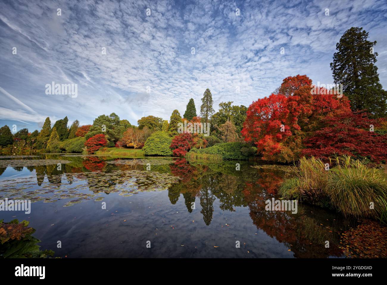 Autumn in England UK Stock Photo - Alamy