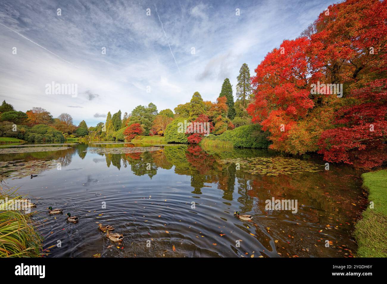 Autumn in England UK Stock Photo - Alamy
