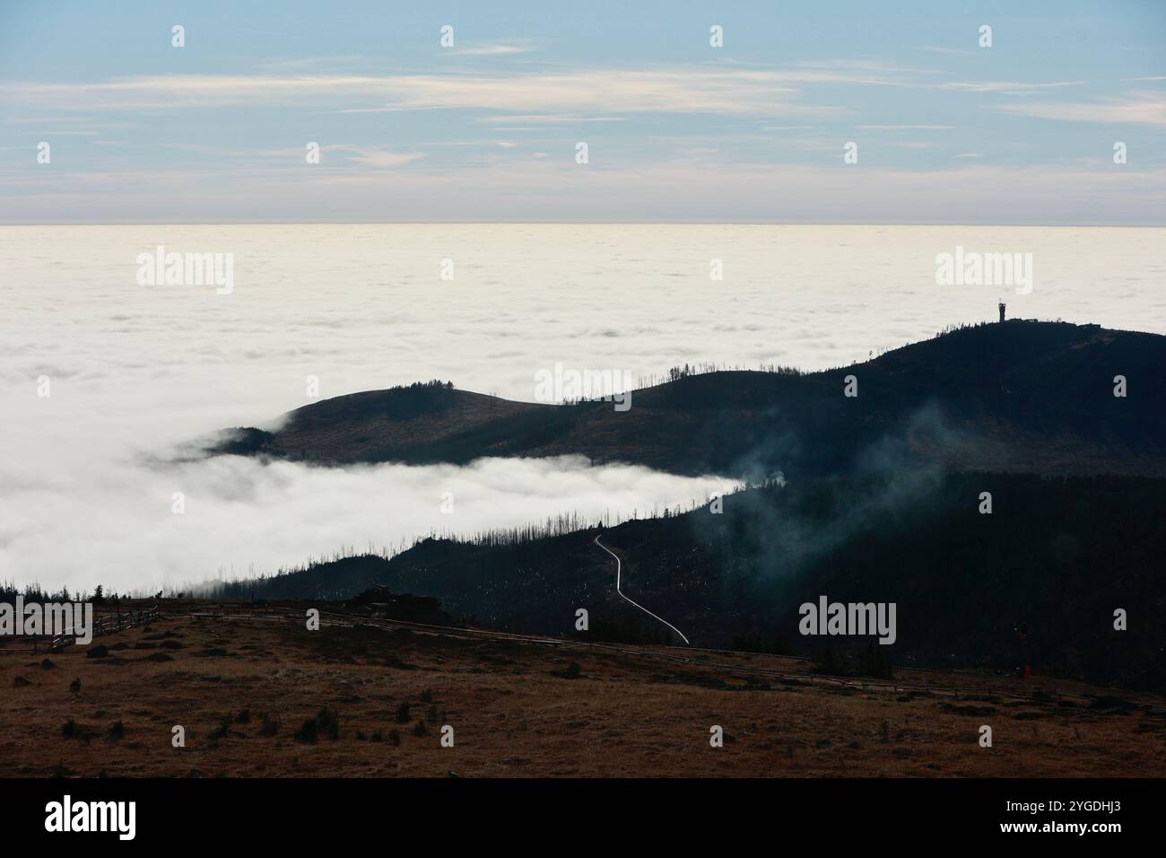 Schierke, Germany. 07th Nov, 2024. Fog drifts over the forests in the ...