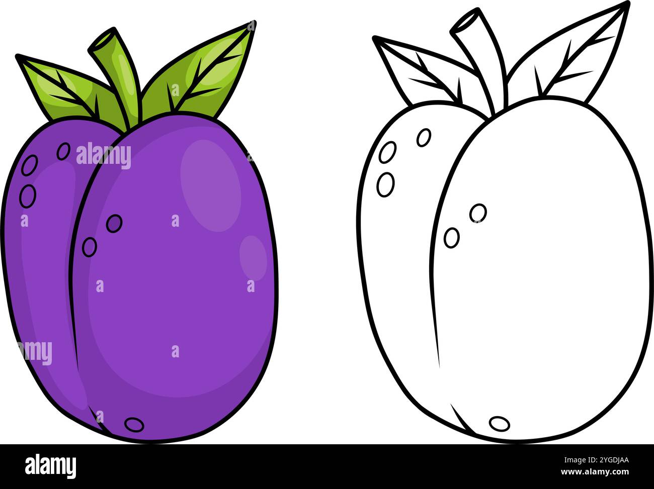 Blue plum collection. Seasonal ripe fruit. Isolated outline stroke ...