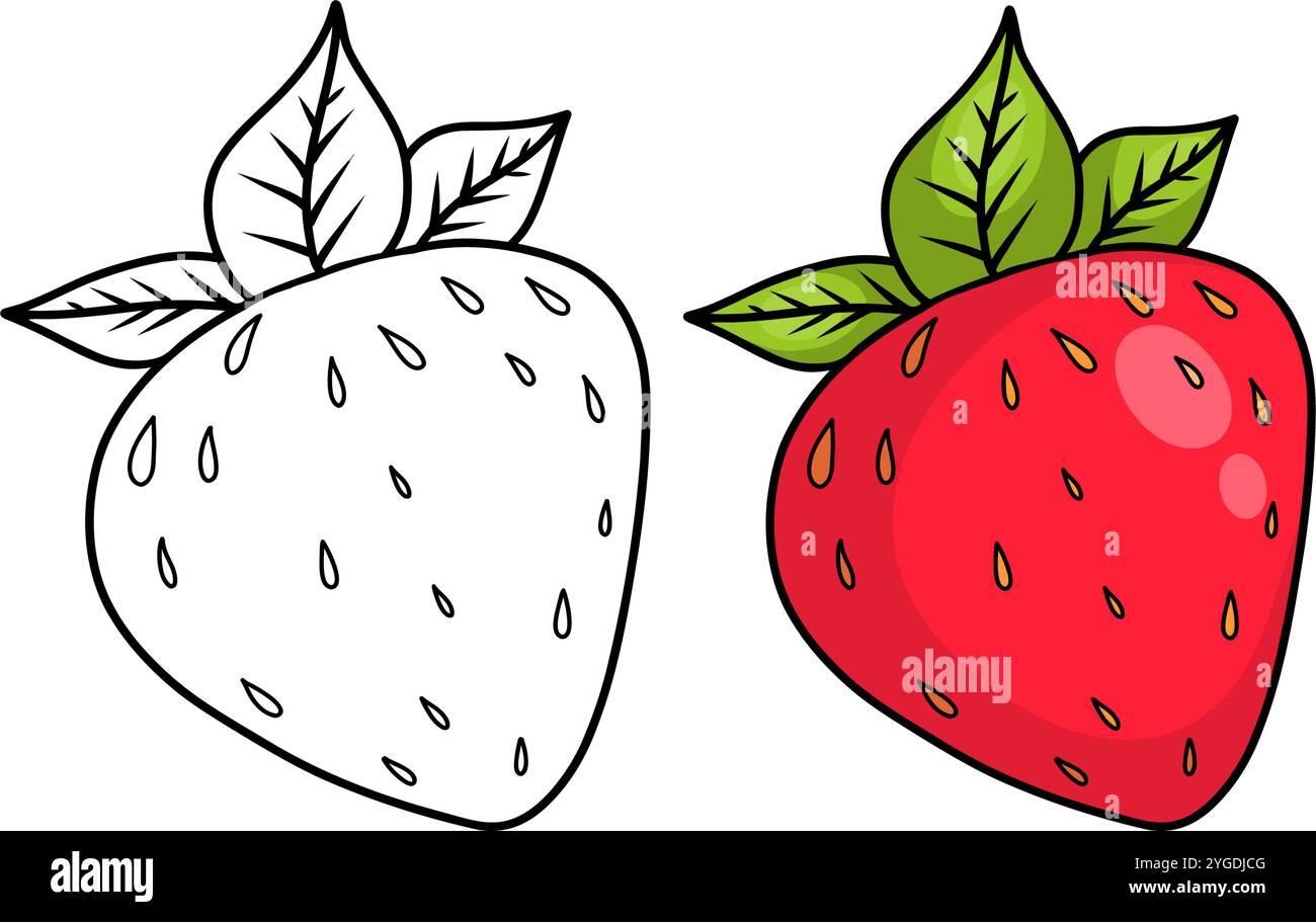 Red strawberry berry. Isolated outline stroke, line and color drawings ...