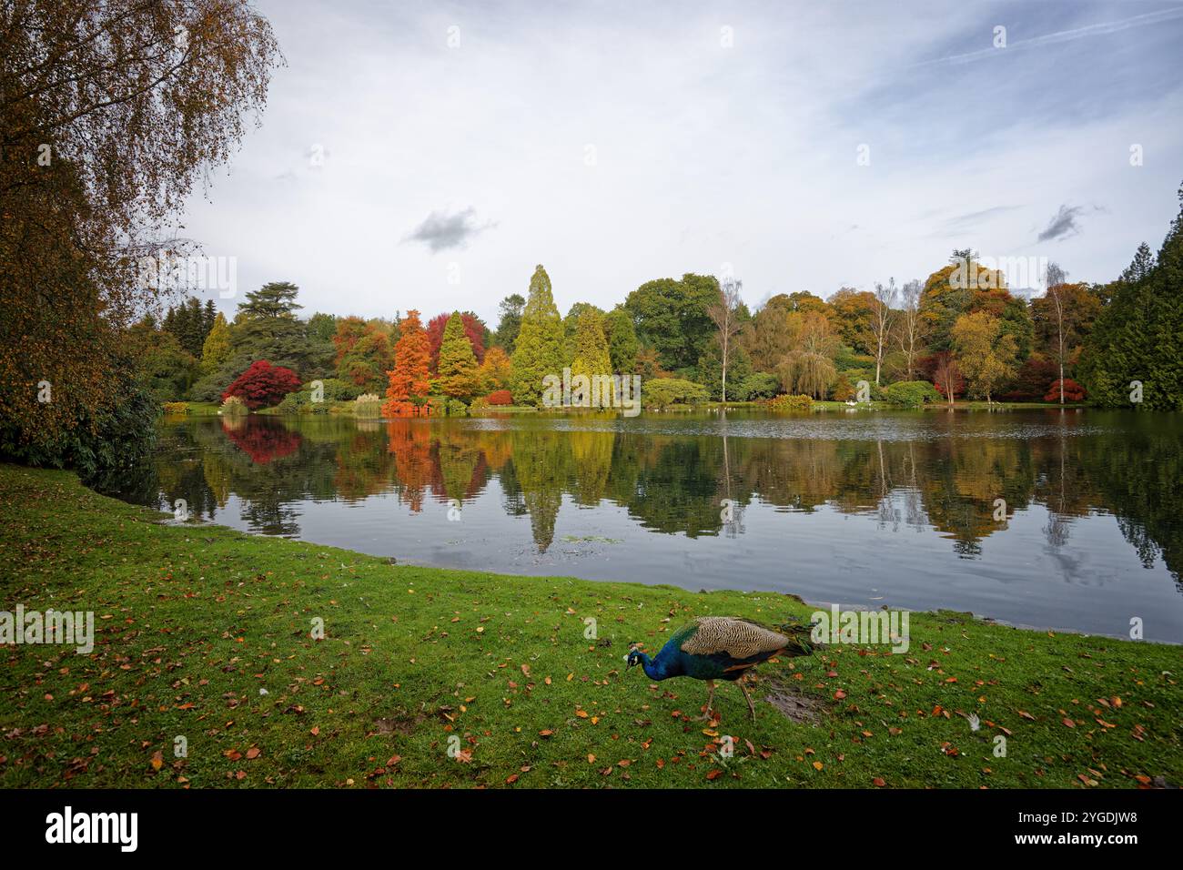 Autumn in England UK Stock Photo - Alamy