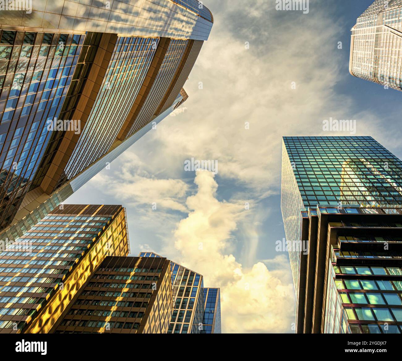Tower blocks and office buildings in the centre of the Main metropolis ...