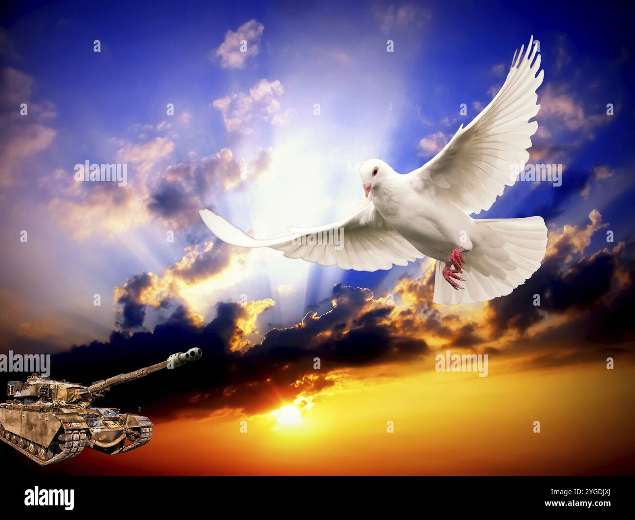 Symbolic image, dove of peace, peoples, international understanding ...