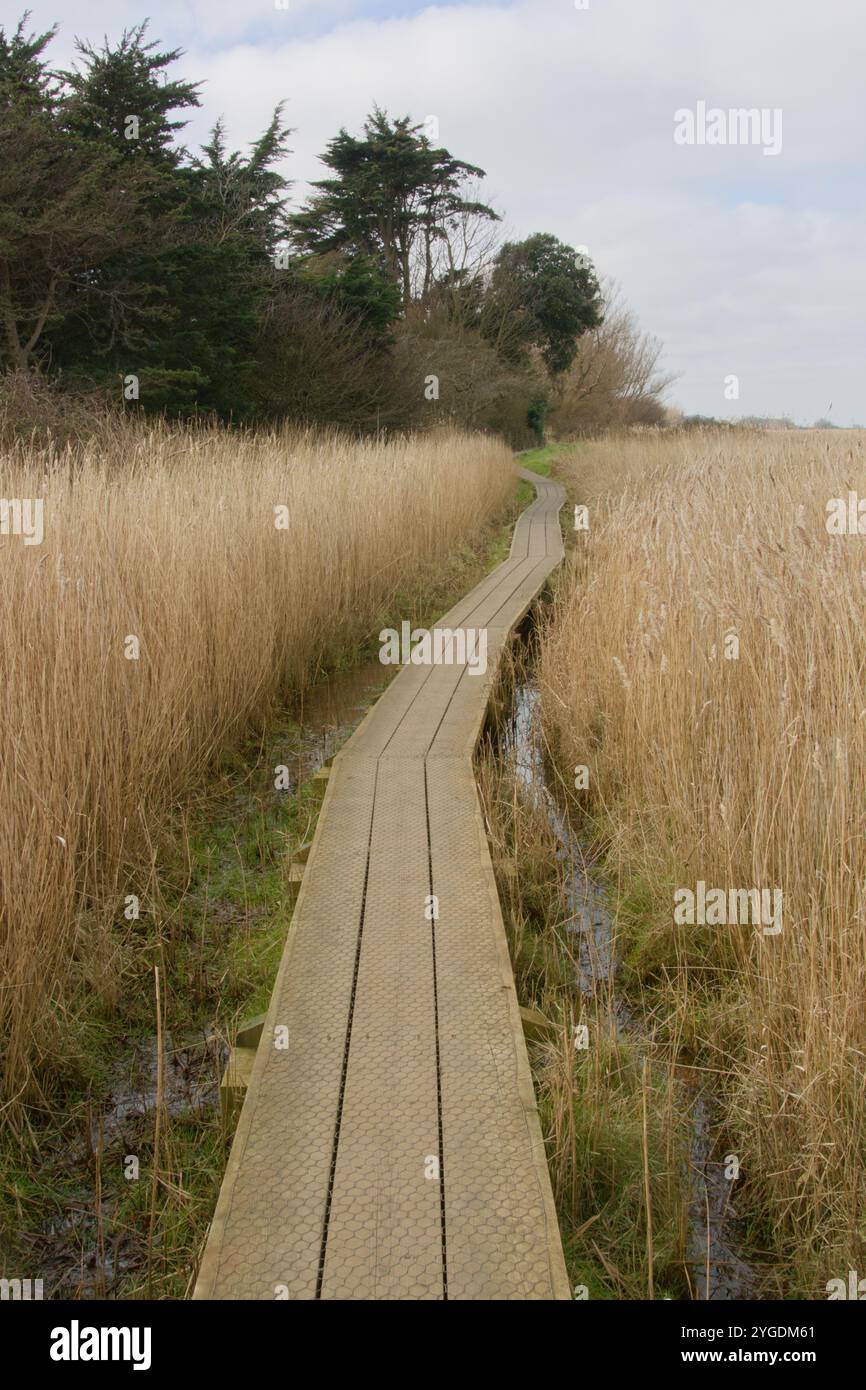 Norfolk Coast Path National Trail boardwalk through marshes near ...