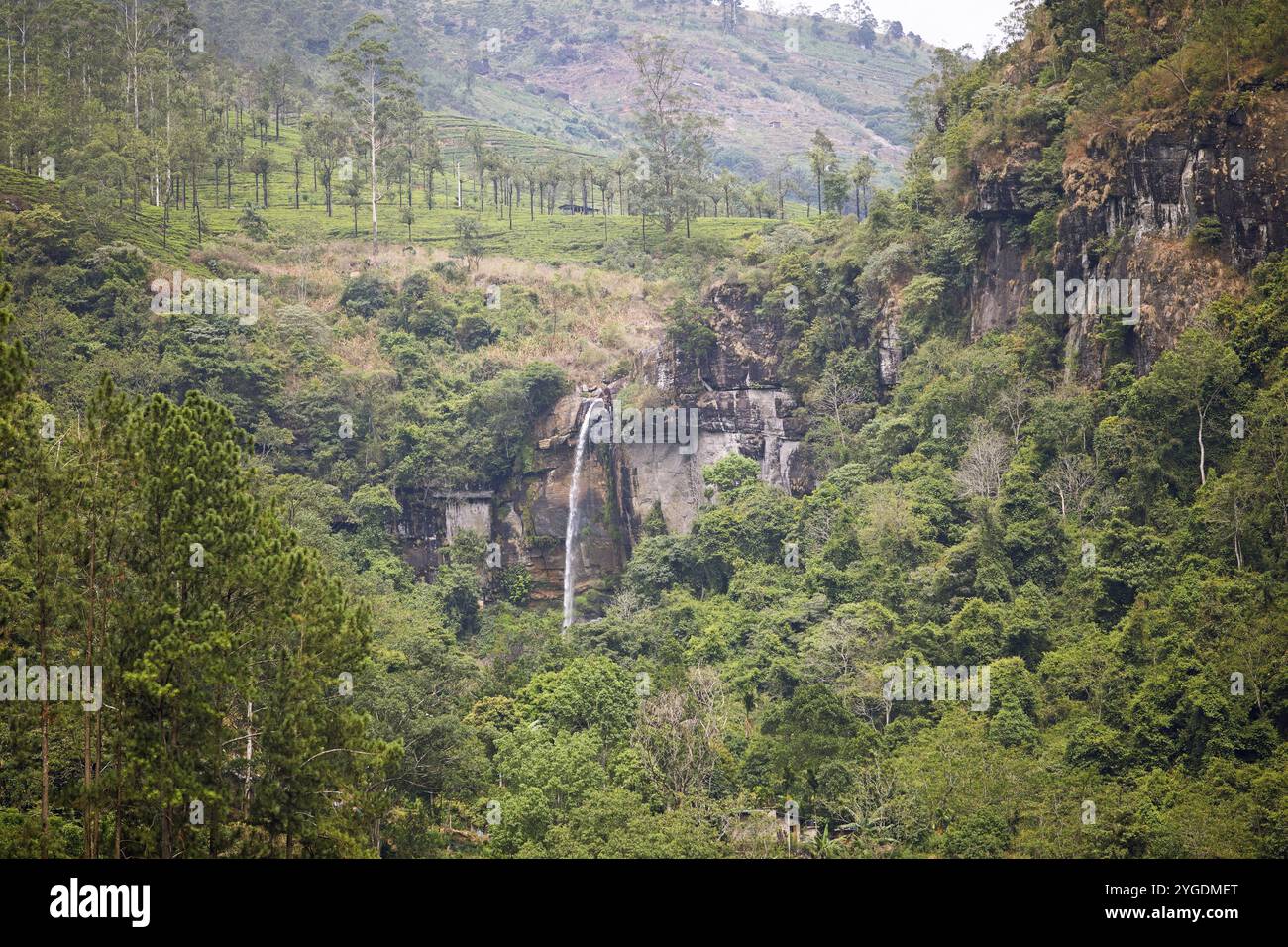 Ramboda Falls, Nuwara Eliya, Central Province, Sri Lanka, Asia Stock ...