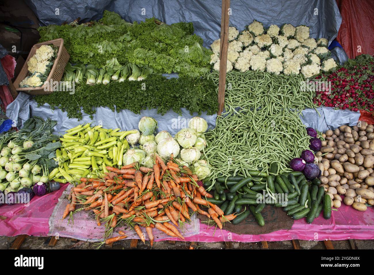 Vegetable stall in Nuwara Eliya, Central Province, Sri Lanka, Asia ...