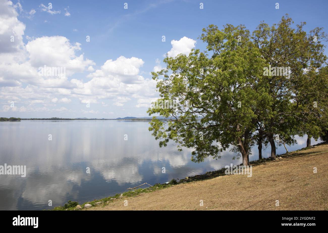 Kala wewa hi-res stock photography and images - Alamy