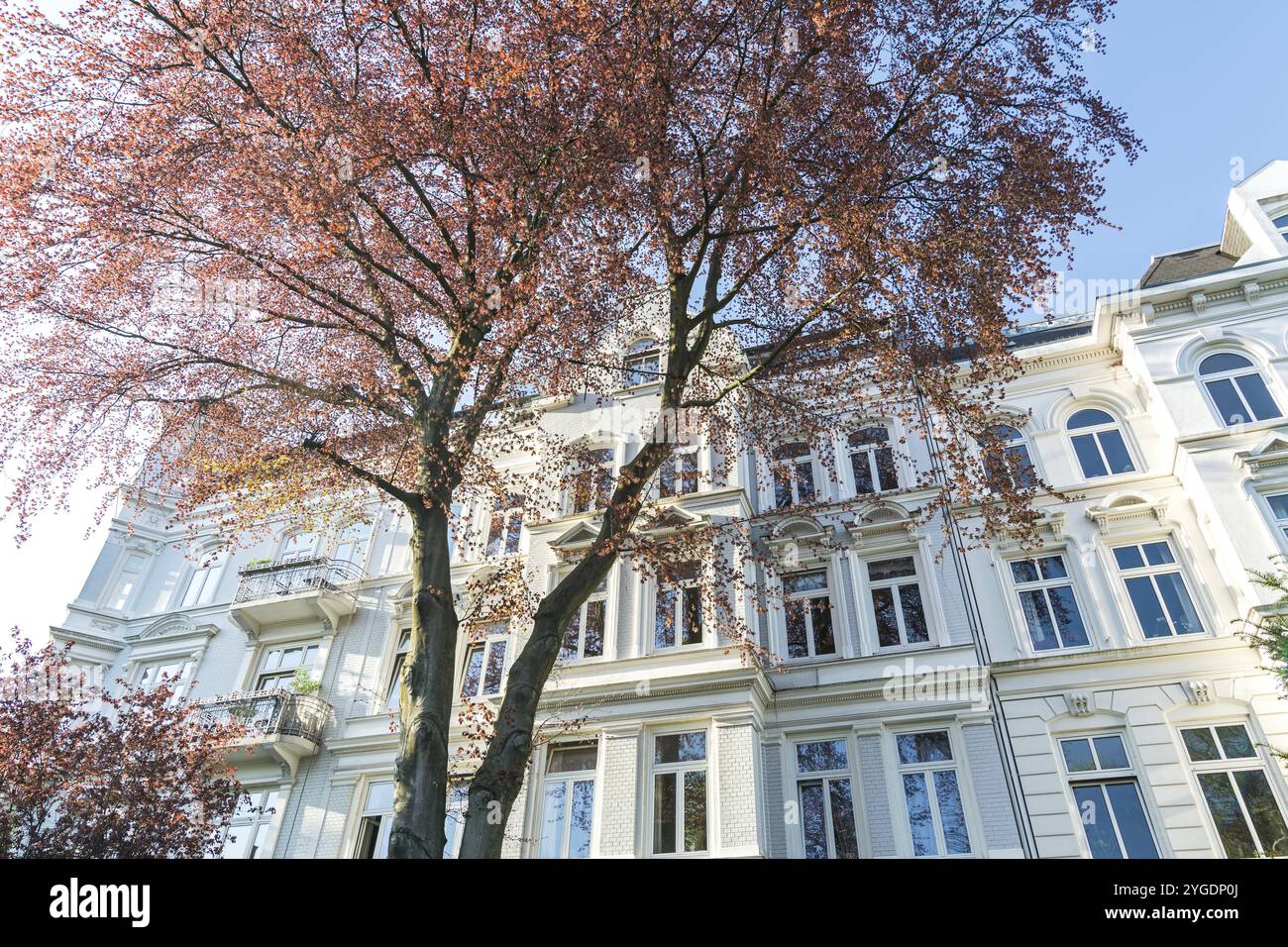 Facade beautiful white building hi-res stock photography and images - Alamy