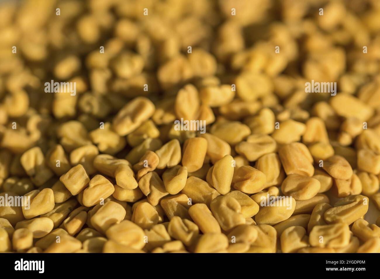 Detailed close up fenugreek seeds hi-res stock photography and images ...