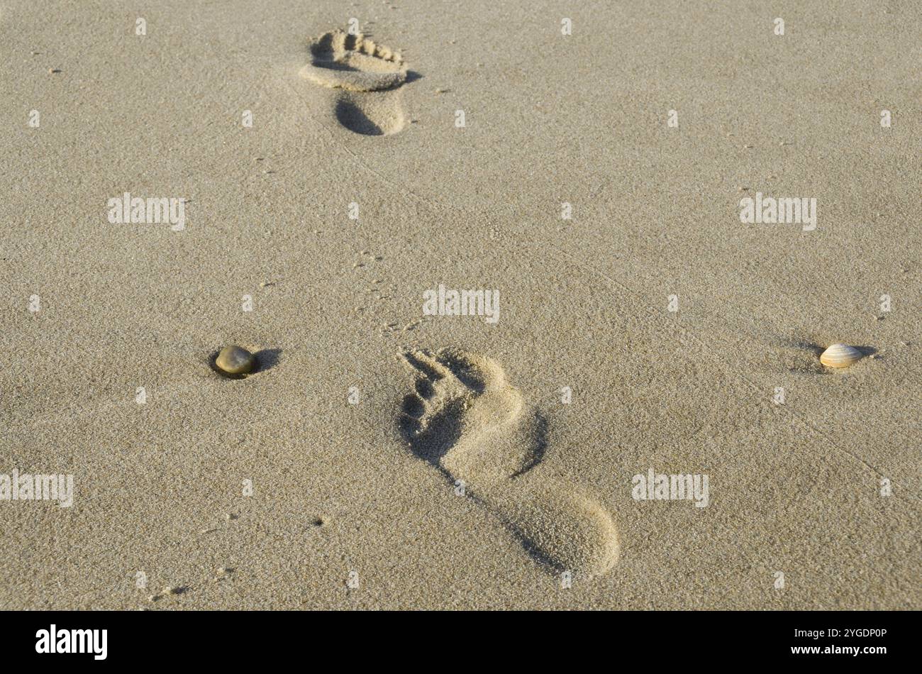 Shoreline footsteps hi-res stock photography and images - Alamy