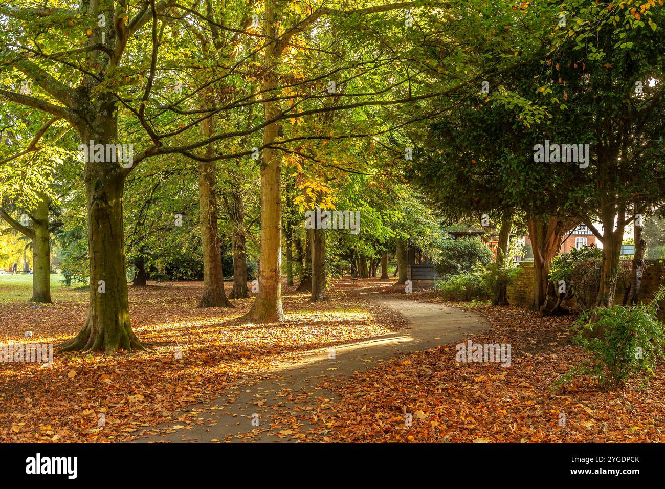 Late afternoon sunshine in Abington Park, Northampton, UK Stock Photo ...