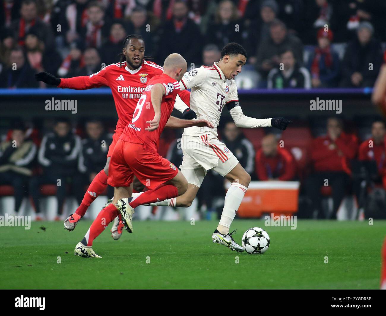 Jamal musiala fc bayern münchen mit ball im angriff hi-res stock ...