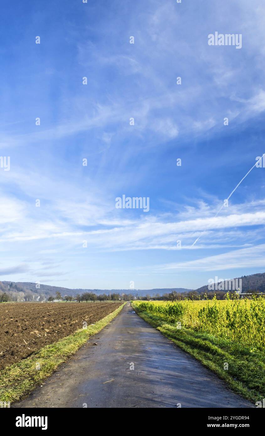 Vertical shot rural road hi-res stock photography and images - Alamy
