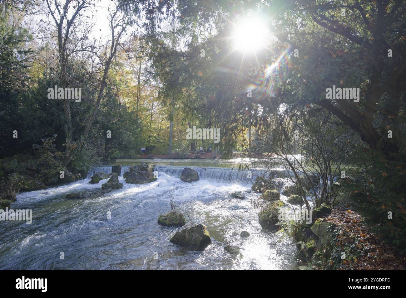 Stream in the English Garden, local recreation area, park, parkland ...