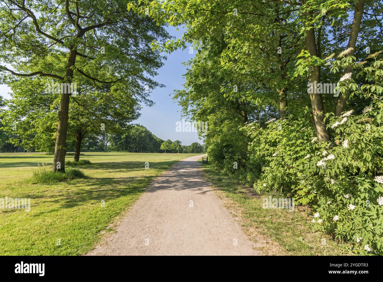 Foot path in a peaceful park in summer Stock Photo - Alamy