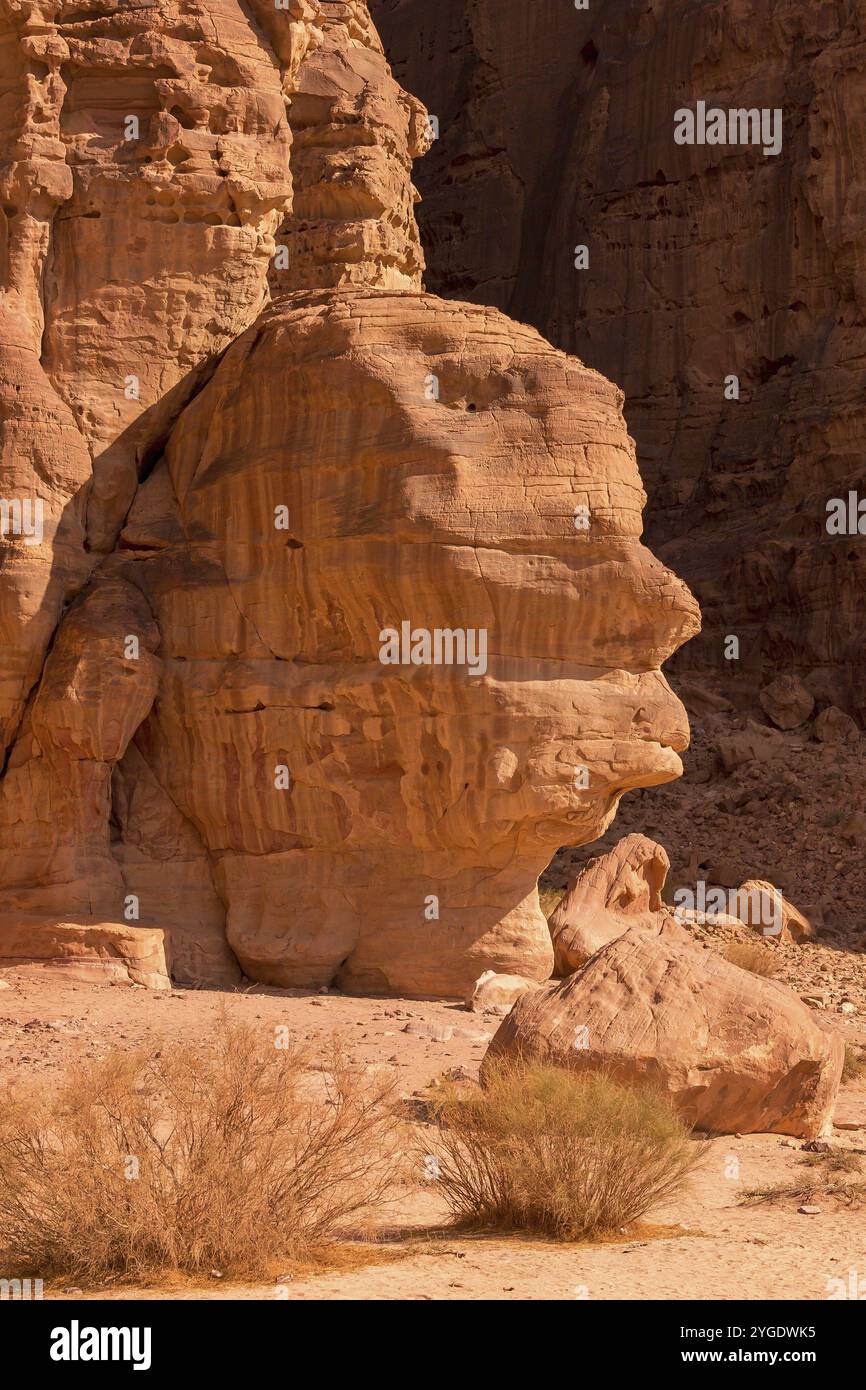 Stone rock head in Wadi Rum desert, The Valley of the Moon, southern ...