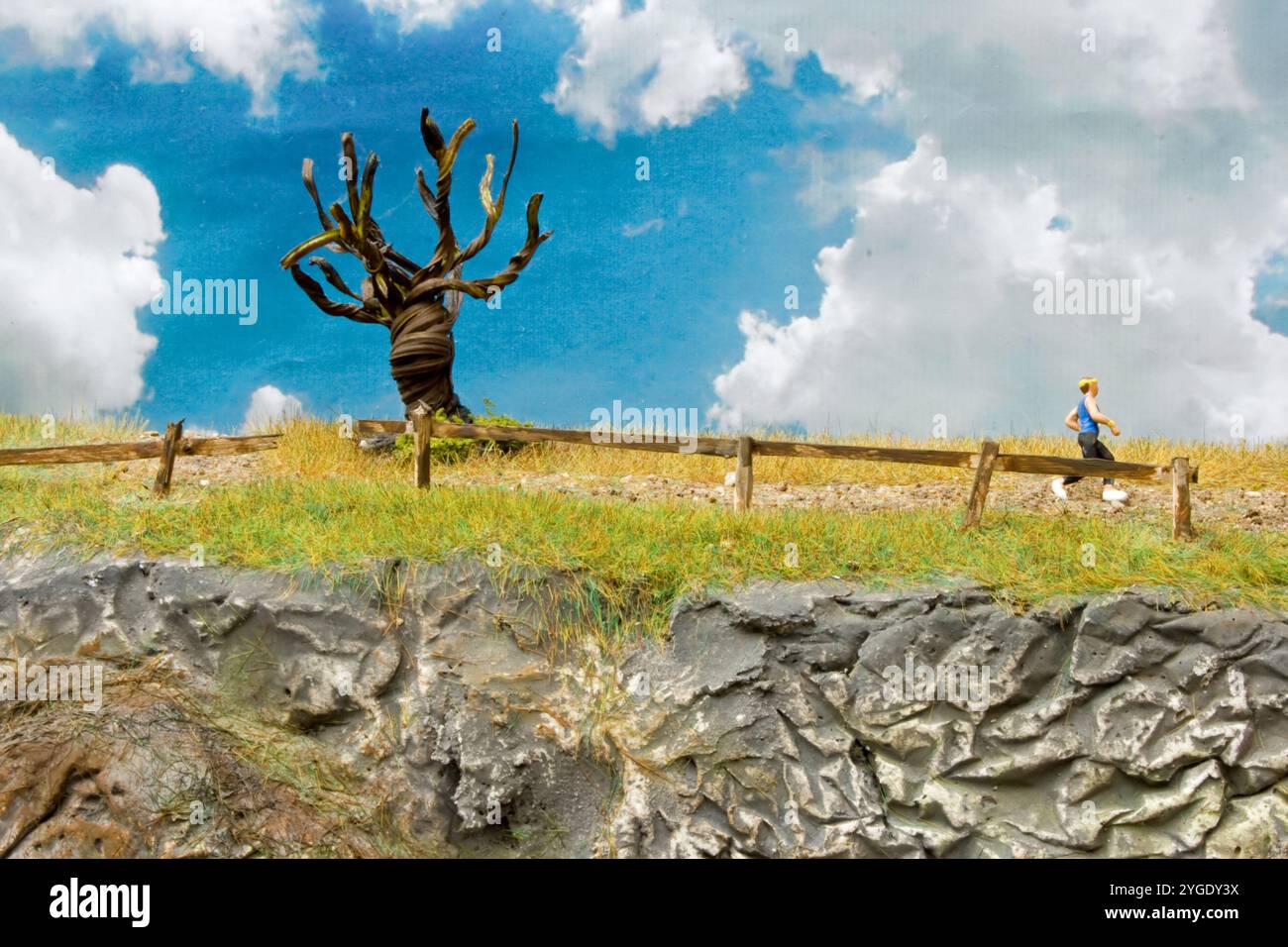 Fence sky scenic runner hi-res stock photography and images - Alamy