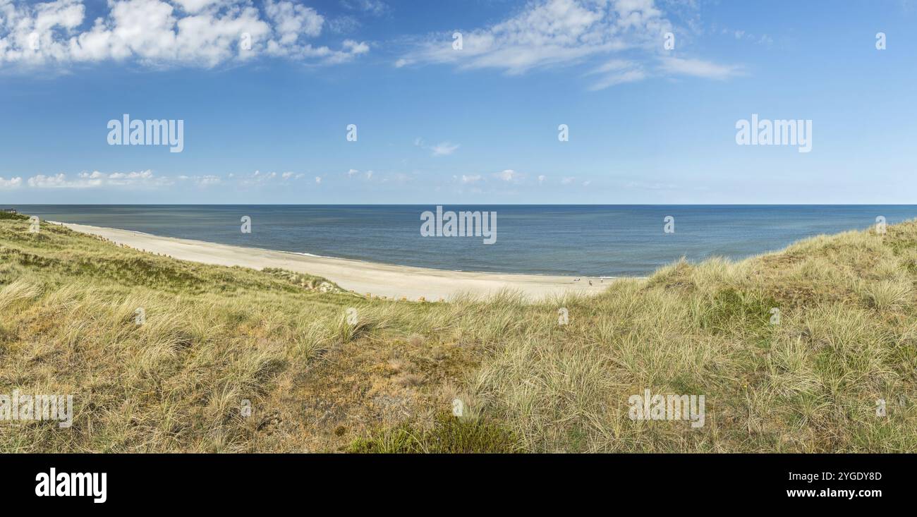 Ultra high res panorama of dune landscape, beach and ocean on the ...
