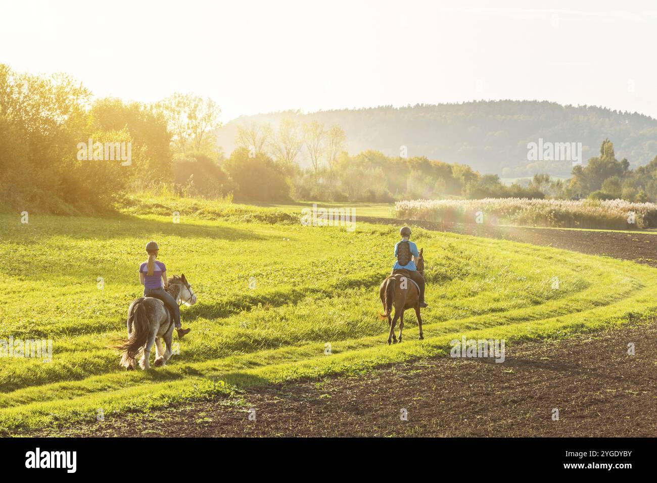 Two girls riding out on their horses in beautiful afternoon sunlight ...