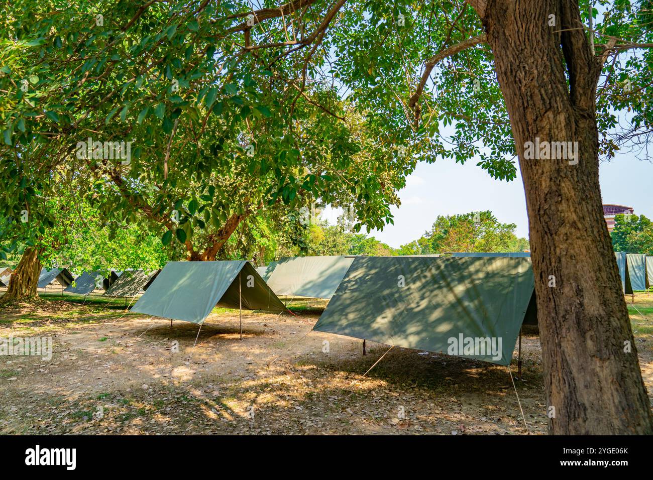 The simple and normal empty Canvas Tents in the row and column on the ...