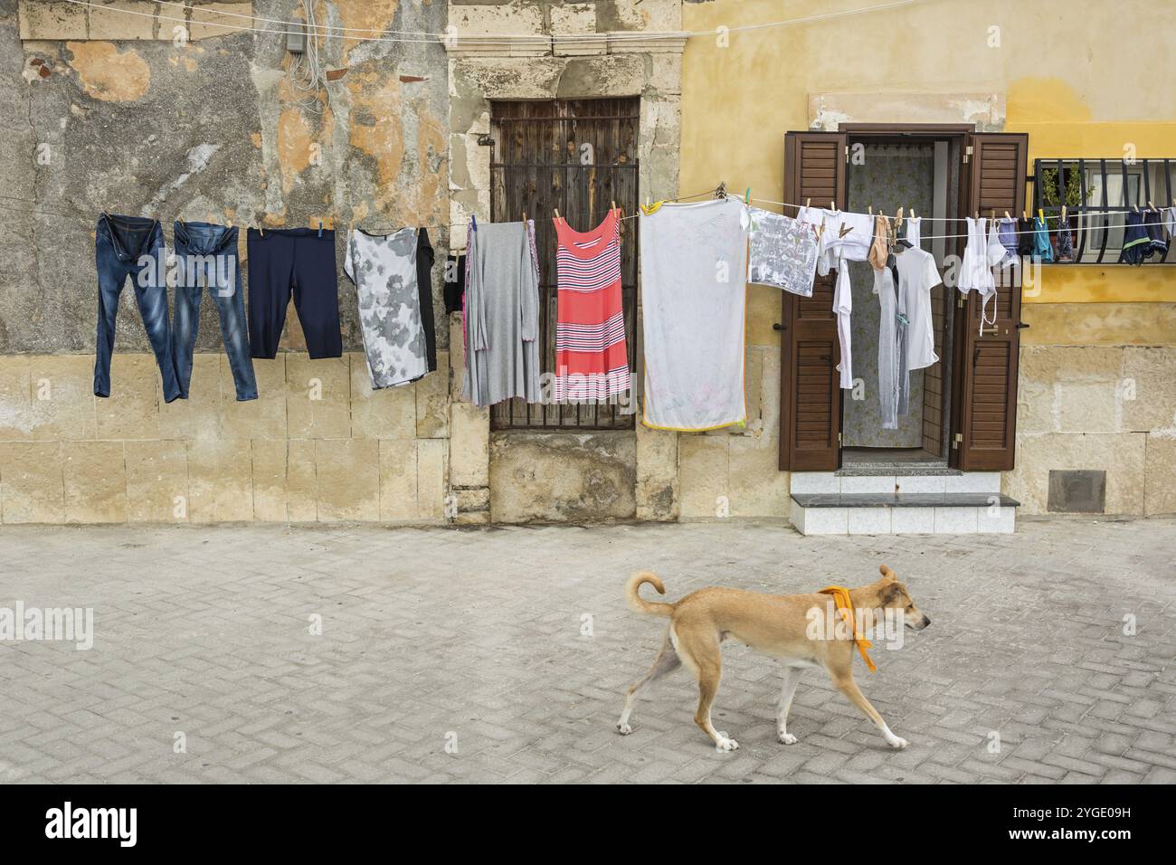 Clothesline and dog in front of typical Southern Italian town houses on ...