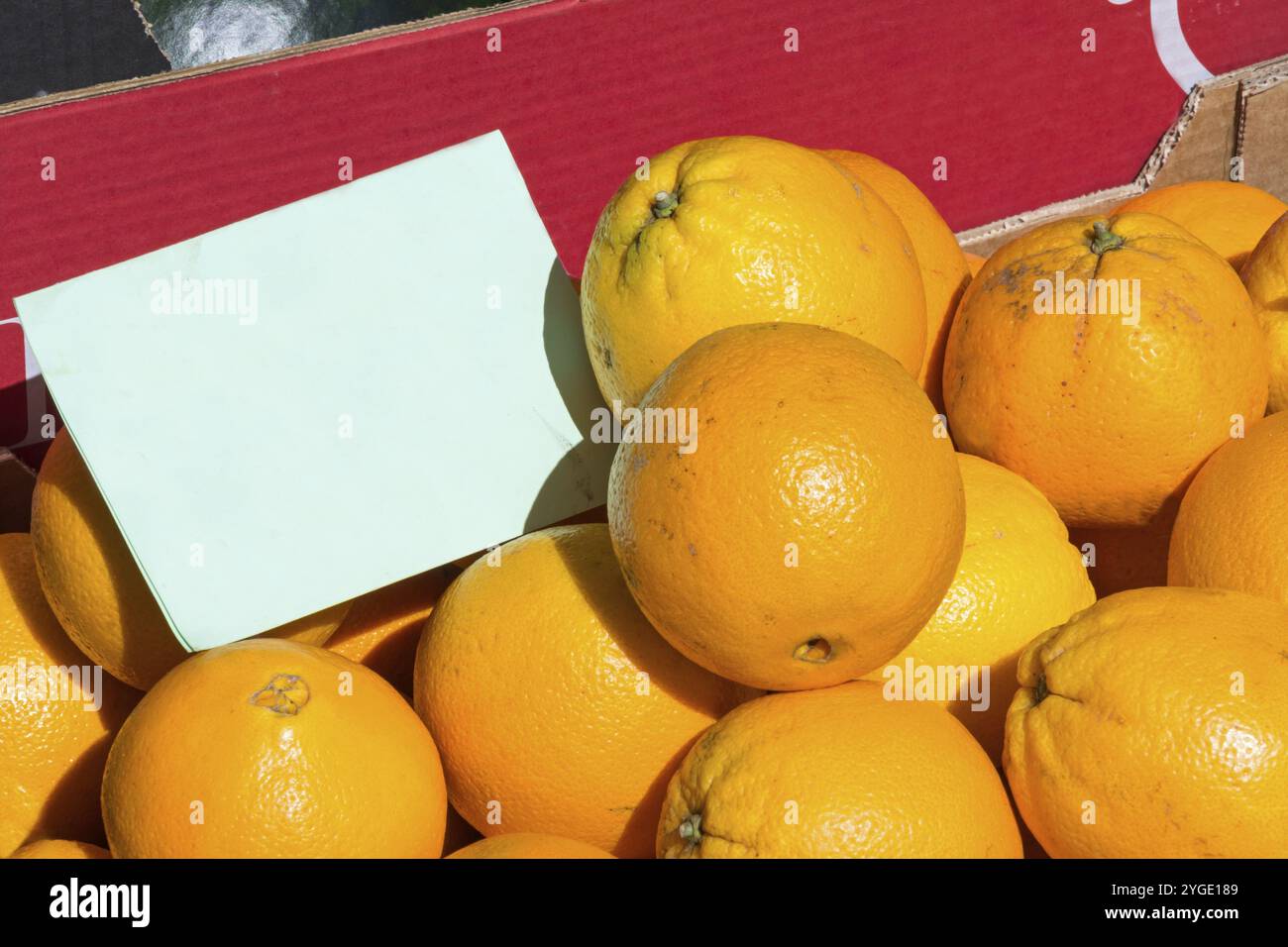 Fresh organic oranges at the farmers market with copy space on ...