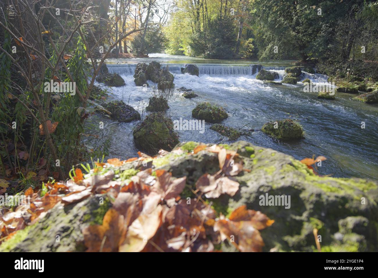 Stream in the English Garden, local recreation area, park, parkland ...