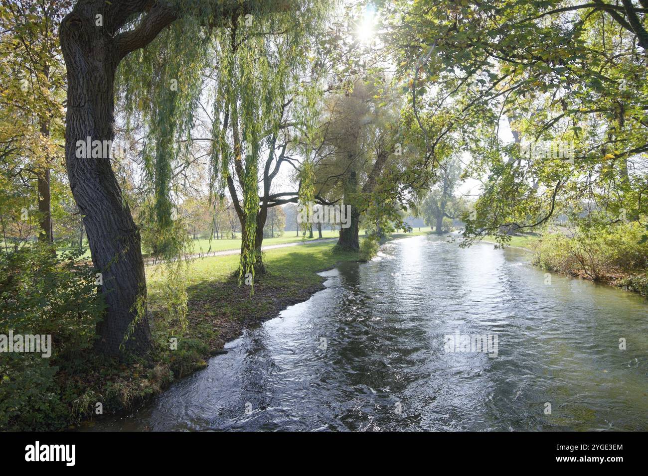 Stream in the English Garden, local recreation area, park, parkland ...