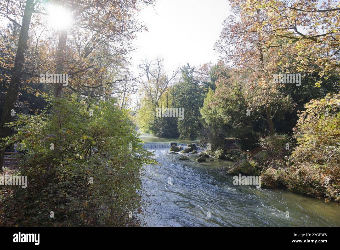 Stream in the English Garden, local recreation area, park, parkland ...