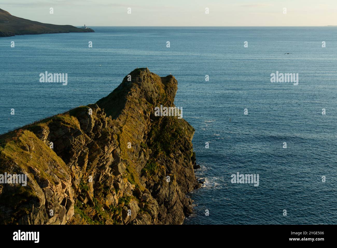 The Knab headland with Bressay Lighthouse beyond, Shetland Islands ...