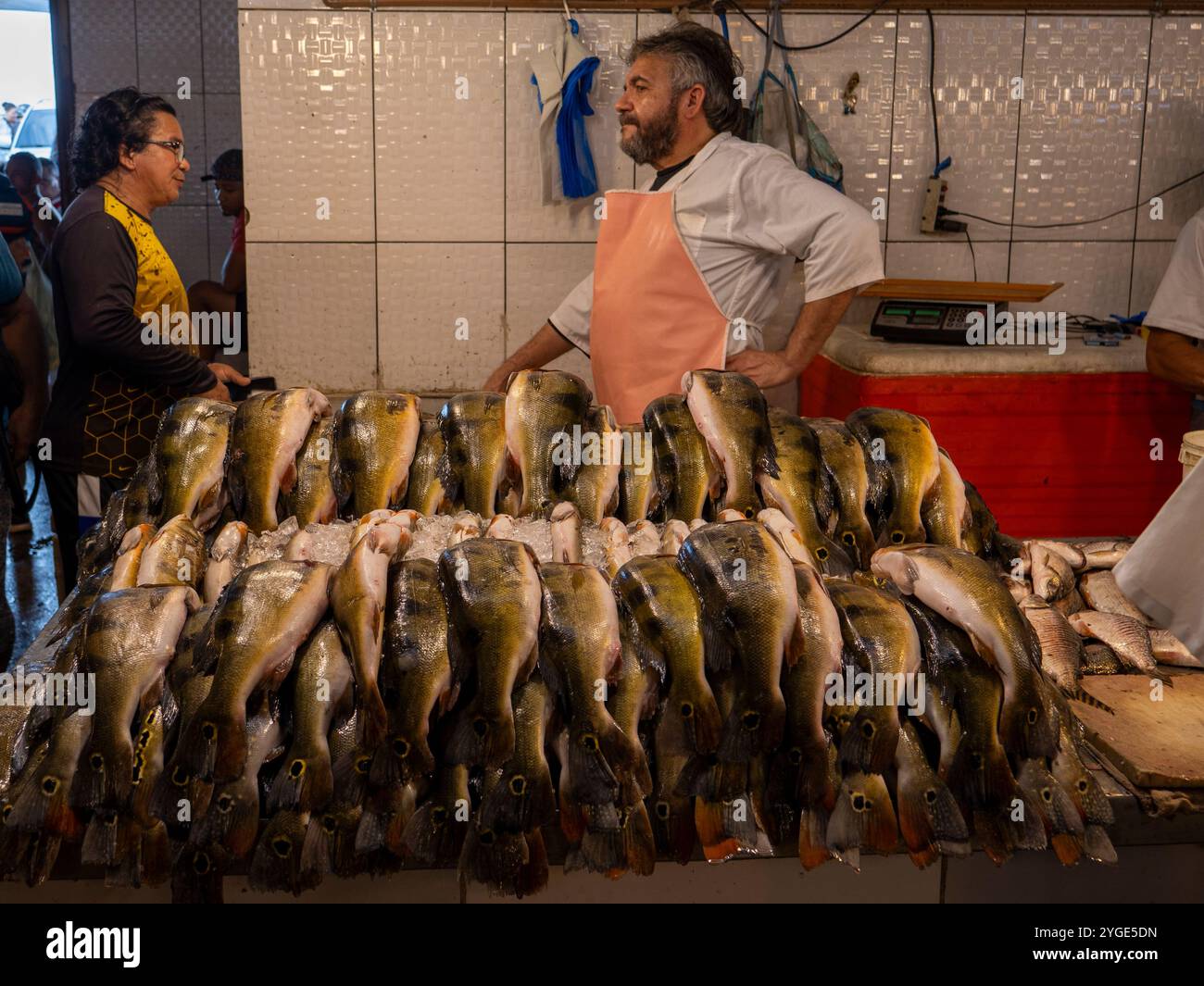In the Adolpho Lisboa market hall in Manaus. Here is the fish market ...