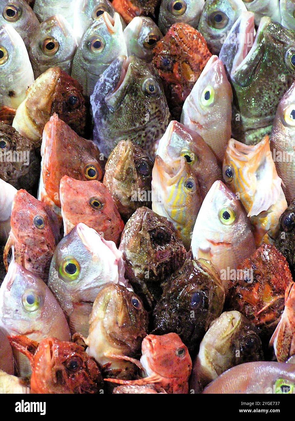 Sardegna cucina hi-res stock photography and images - Alamy