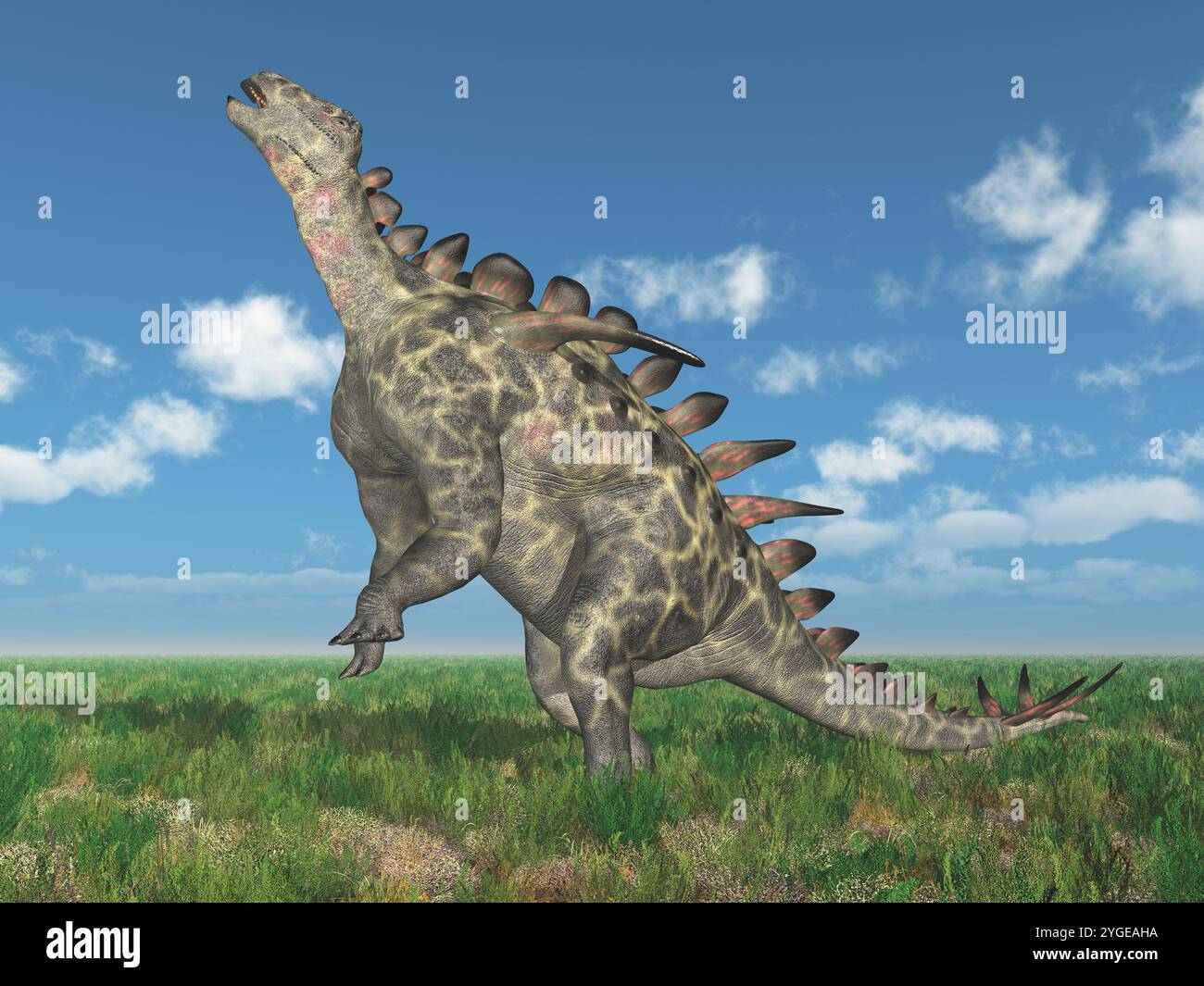 Huayangosaurus hi-res stock photography and images - Alamy