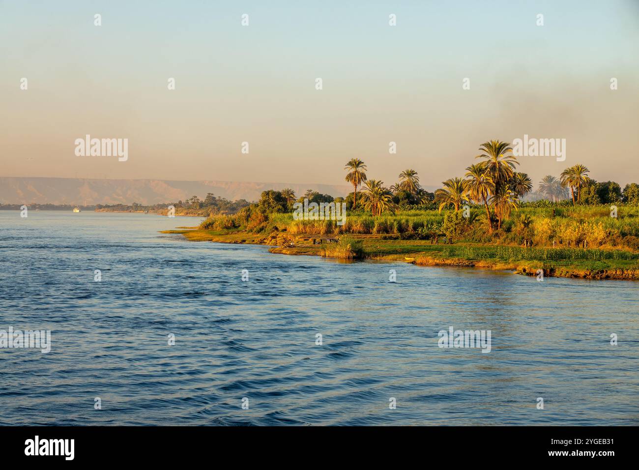 Landscape of palm trees and fields on the Nile river banks at sunset ...