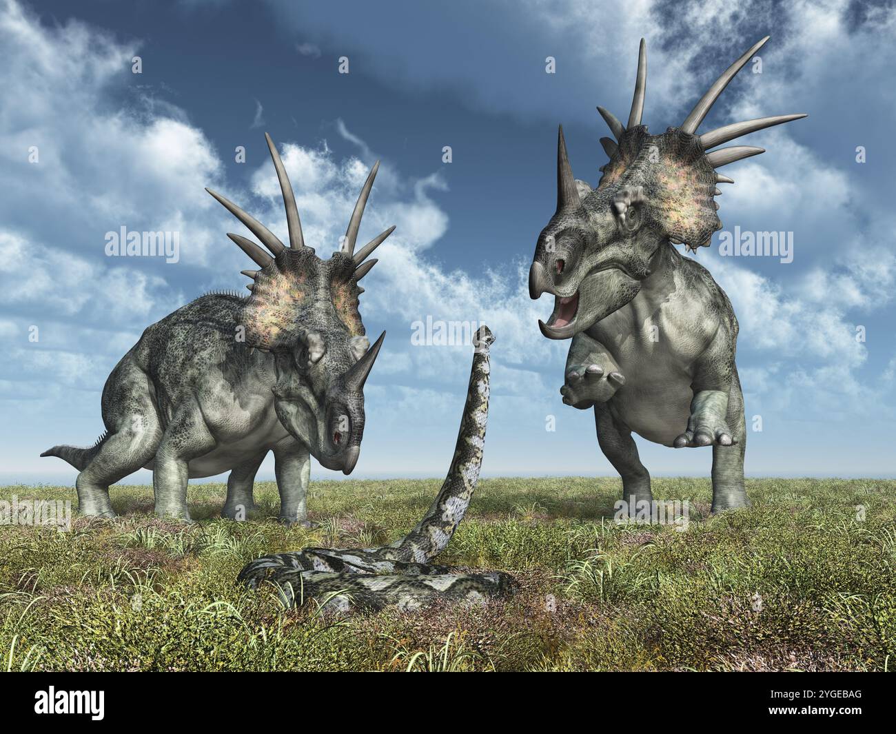 Dinosaur Styracosaurus and giant snake Titanoboa Stock Photo - Alamy