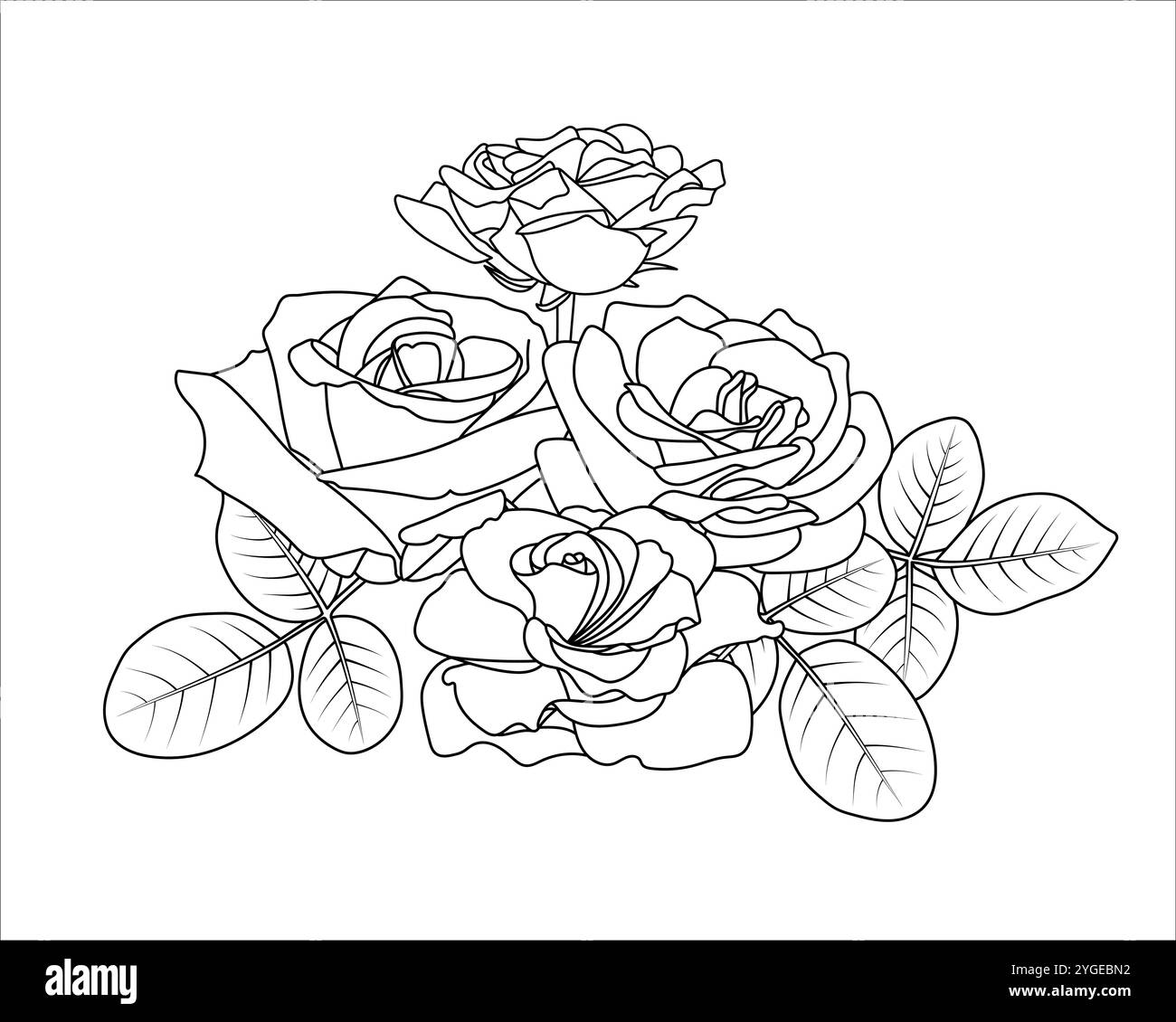 Floral Horizontal Composition. Roses, buds and leaves. Outline flowers ...