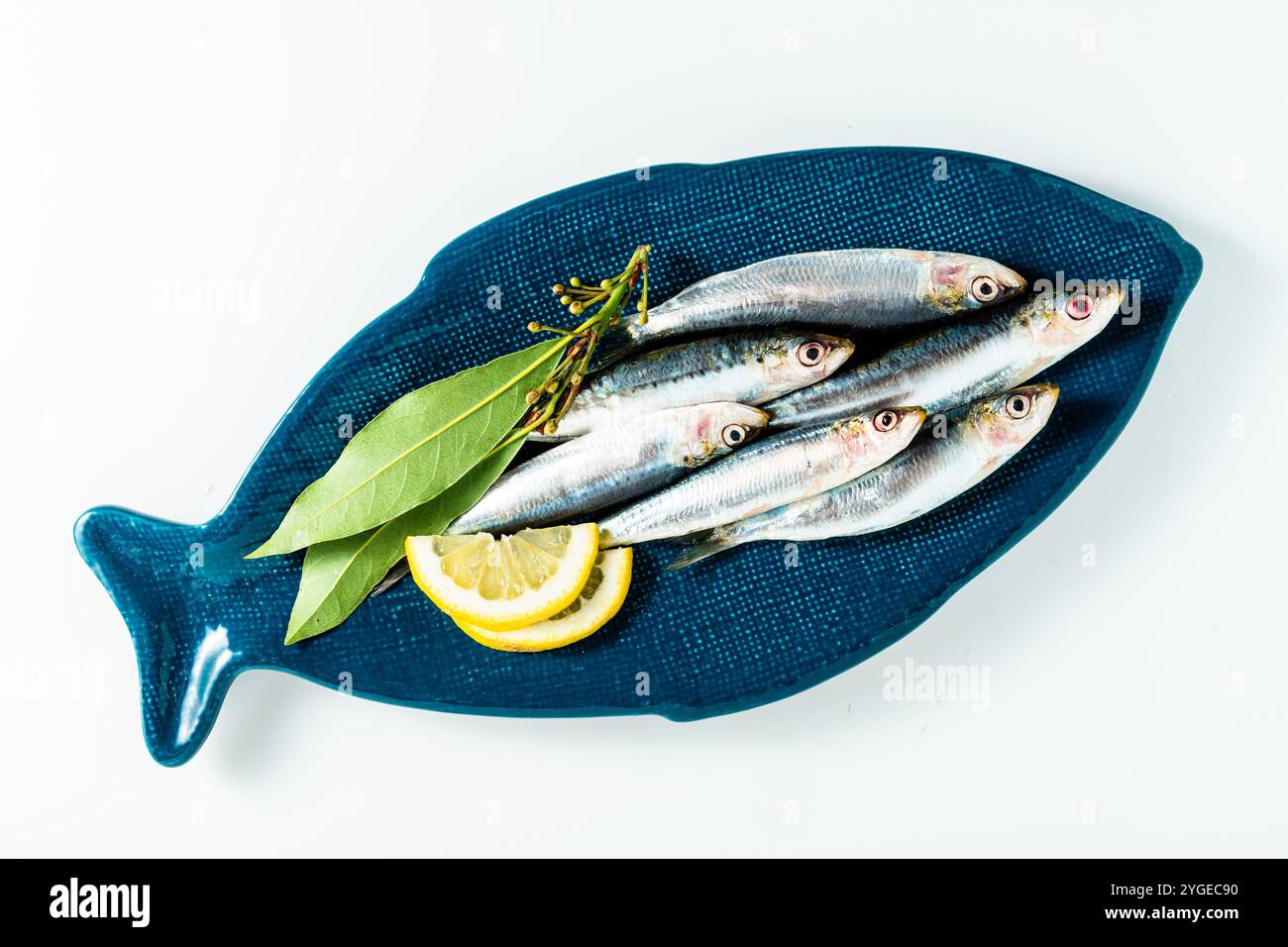 marinate fresh raw anchovies . close up. cooking recipe , fish market ...