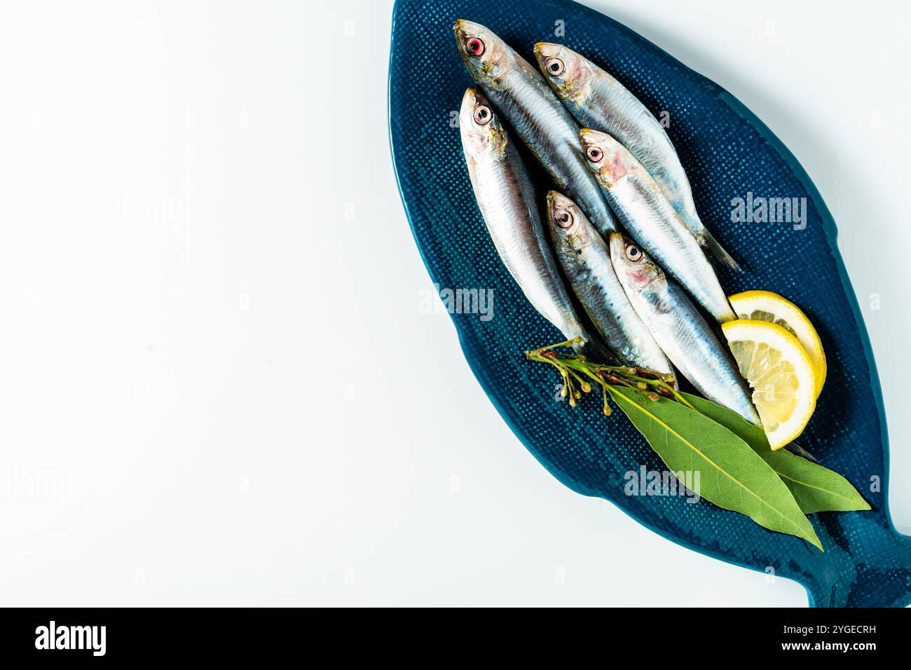 marinate fresh raw anchovies . close up. cooking recipe , fish market ...