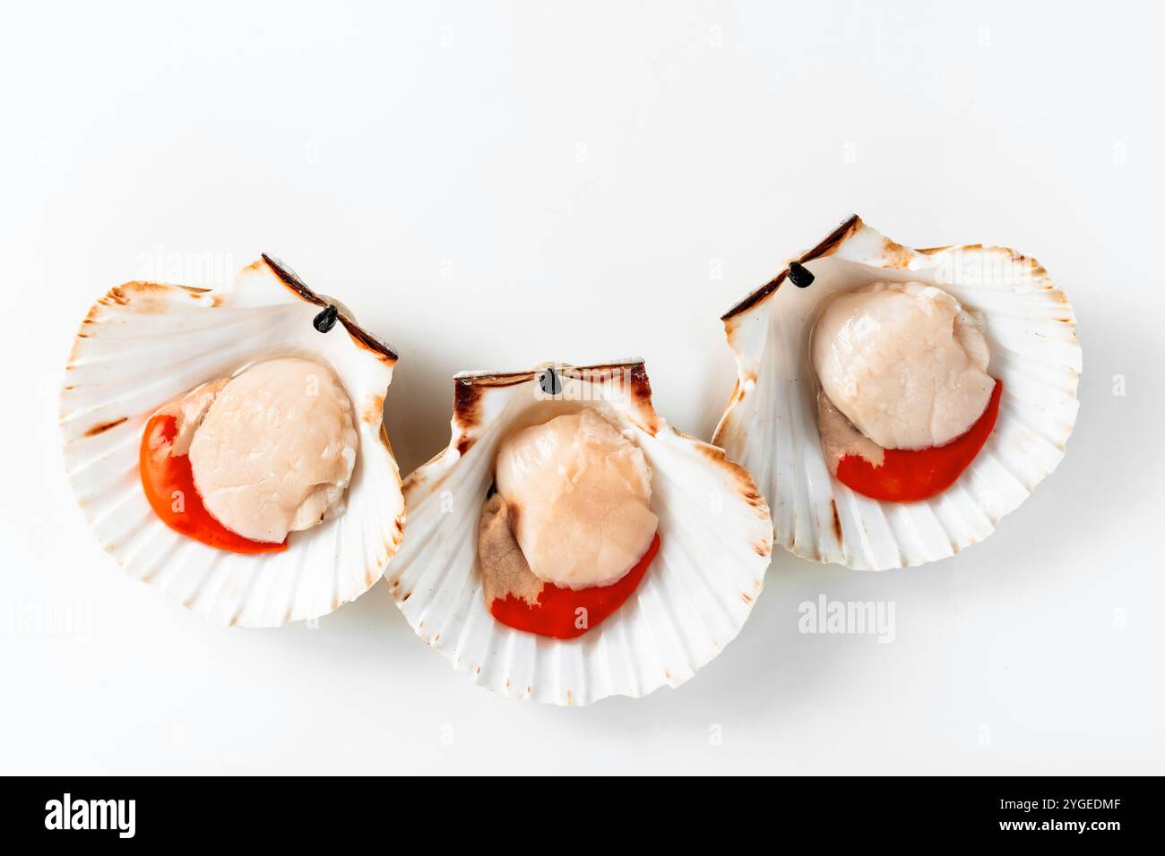 scallops on white. close up. cooking, fish market Stock Photo - Alamy